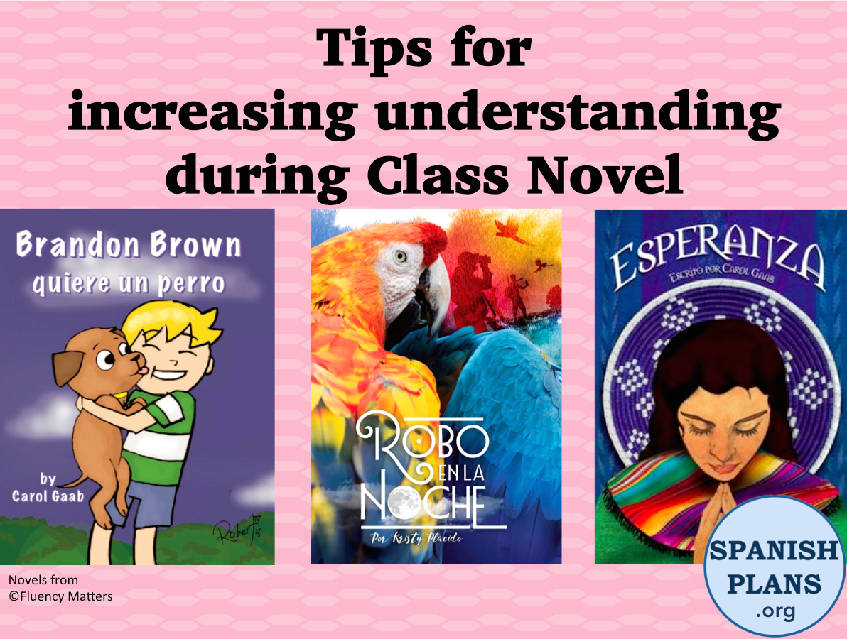 Class Novel Tips | SpanishPlans.org