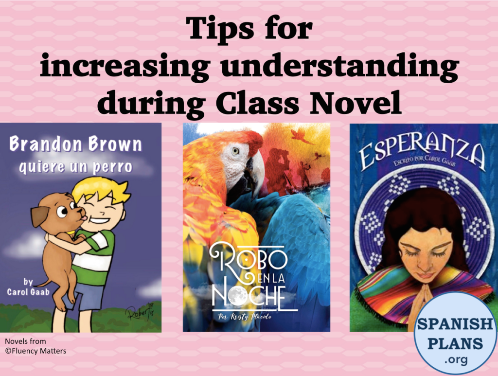 Class Novel Tips | SpanishPlans.org